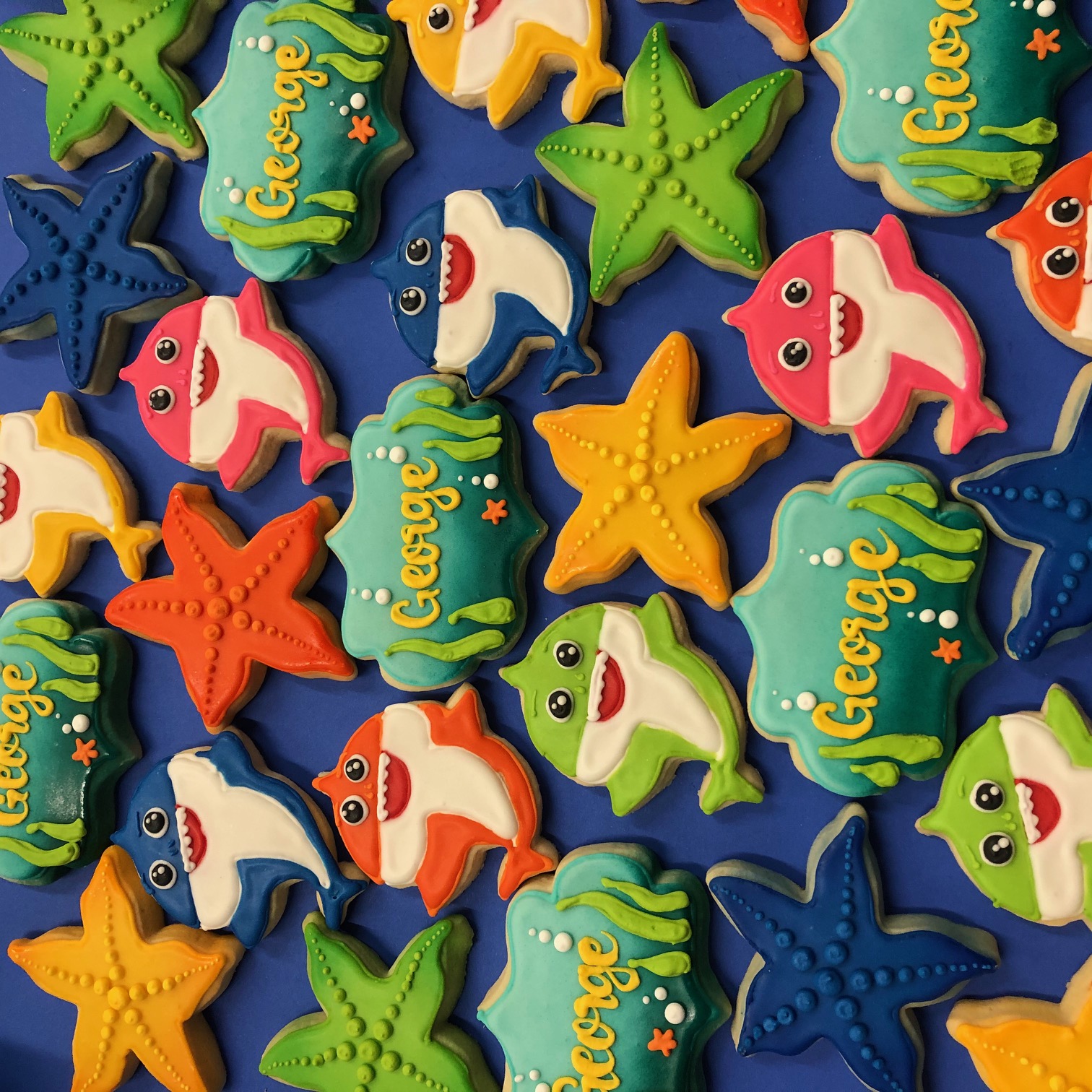Baby Shark Cookie Set - Hayley Cakes and CookiesHayley Cakes and Cookies