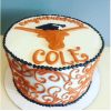 Custom Cakes Austin, TX for Birthdays & Events Hayley Cakes and Cookies