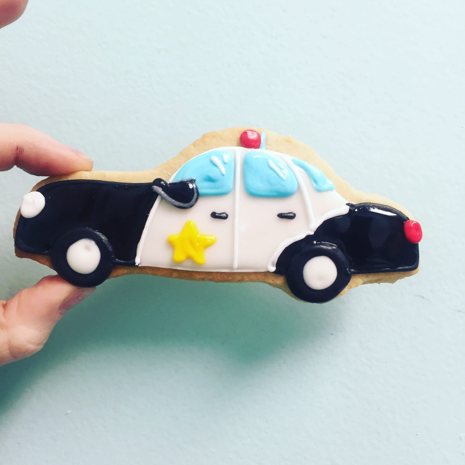 Custom Cookies and Cookie Sets by HayleyCakes and CookiesHayley Cakes ...