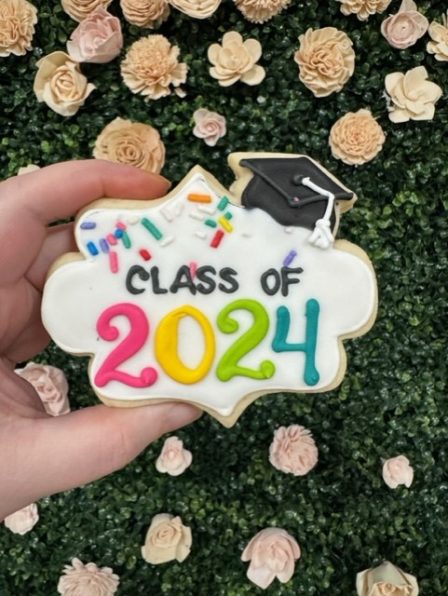class of 2025 cookie - Hayley Cakes and Cookies Hayley Cakes and Cookies